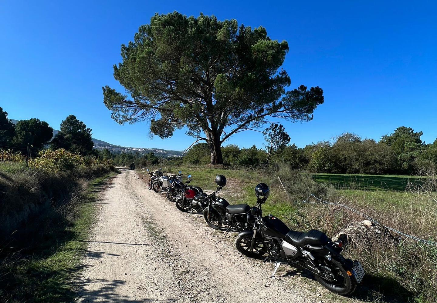 Portugal Motorcycle Diaries: From Douro Valley to the Alentejo