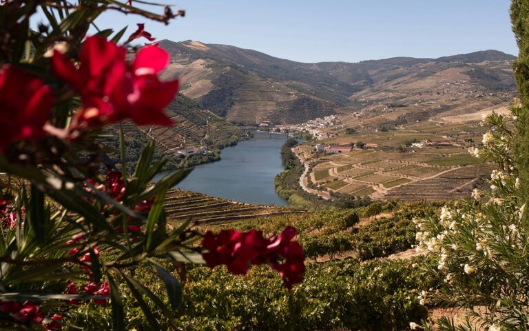 Paddle Power: Two Days Kayaking The Douro River | Epic Travel